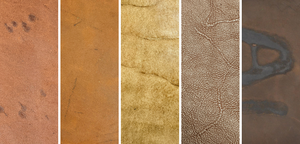 "What's on my leather?" Let's talk about Natural Markings! | The ...