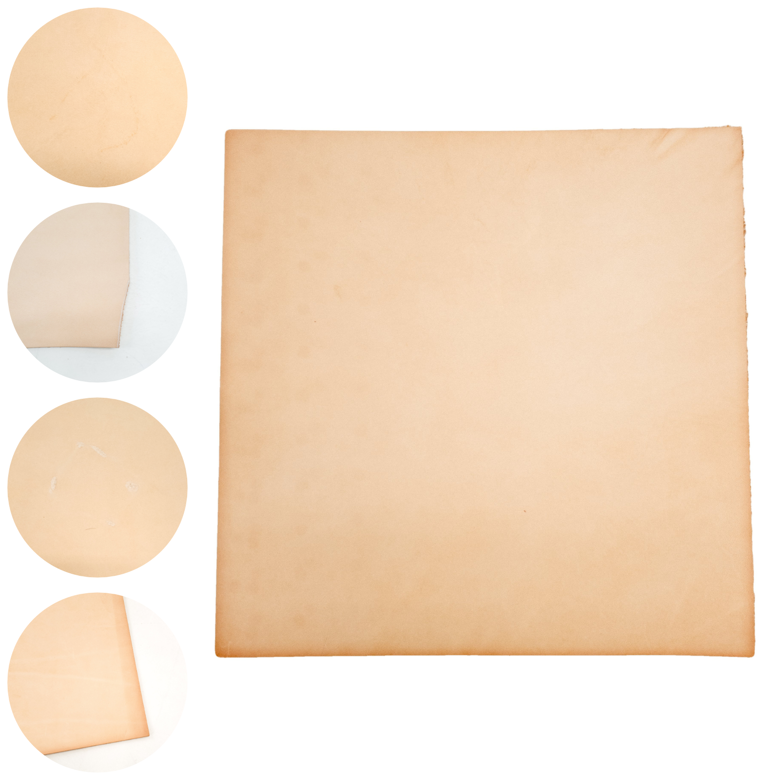 Tooling Leather Veg Tan Pre-cuts | 12 x 12 / 2-3 | The Leather Guy