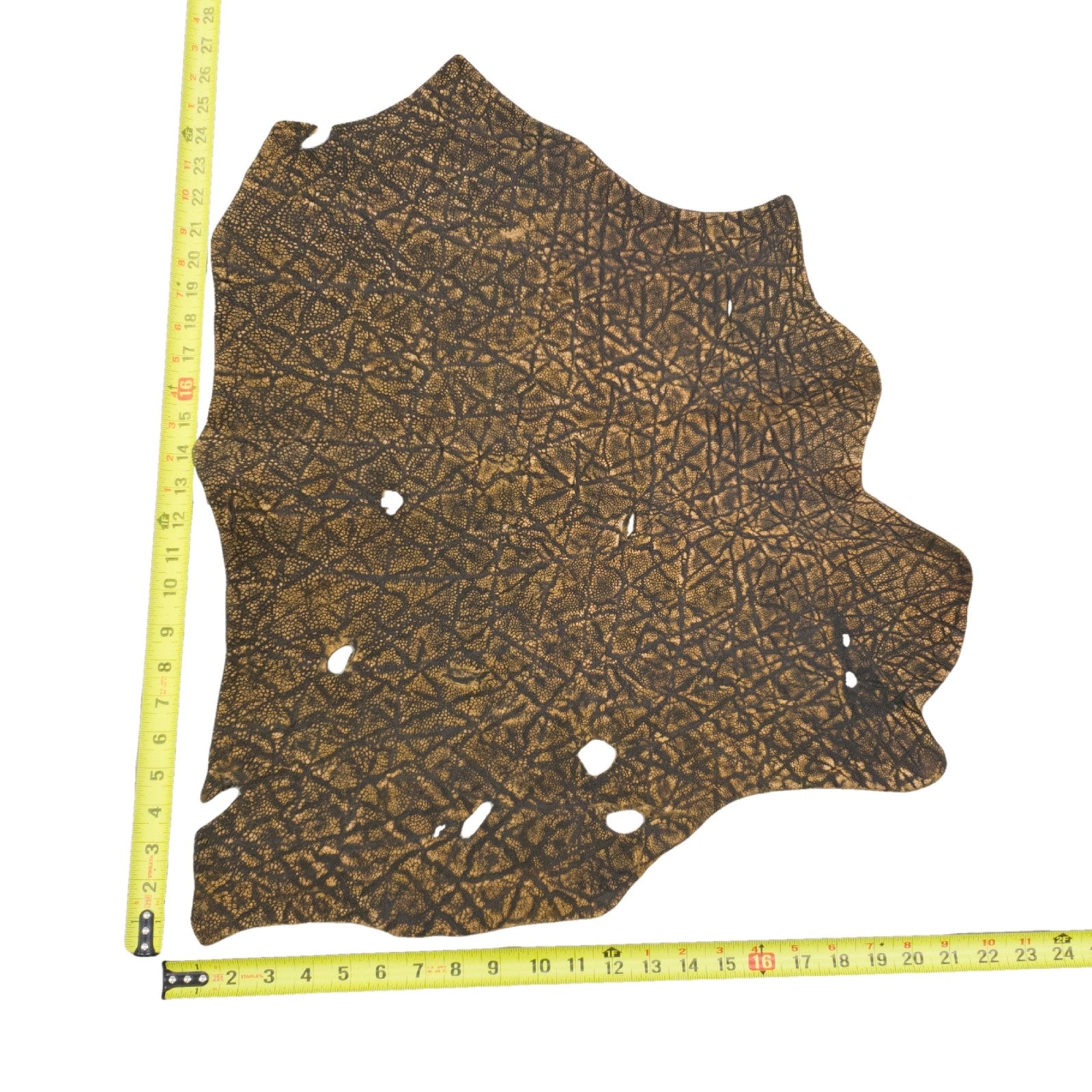 Genuine Elephant Leather Hides, Antique Saddle Safari Non-Stock, 4-5 o ...