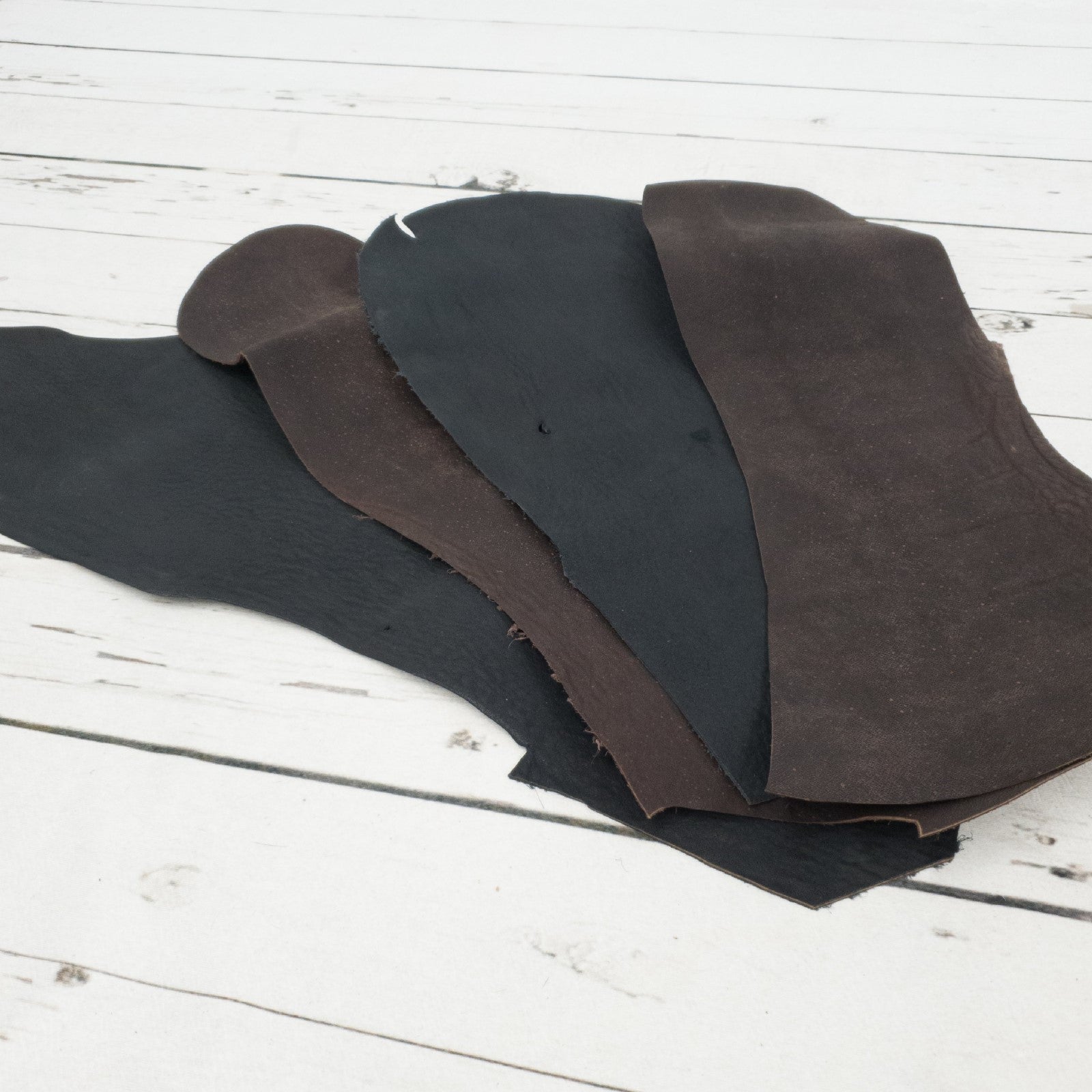 Genuine Bull Shark Leather, Fin Project Pieces, 3 - 5 oz, Mixed Colors | The Leather Guy