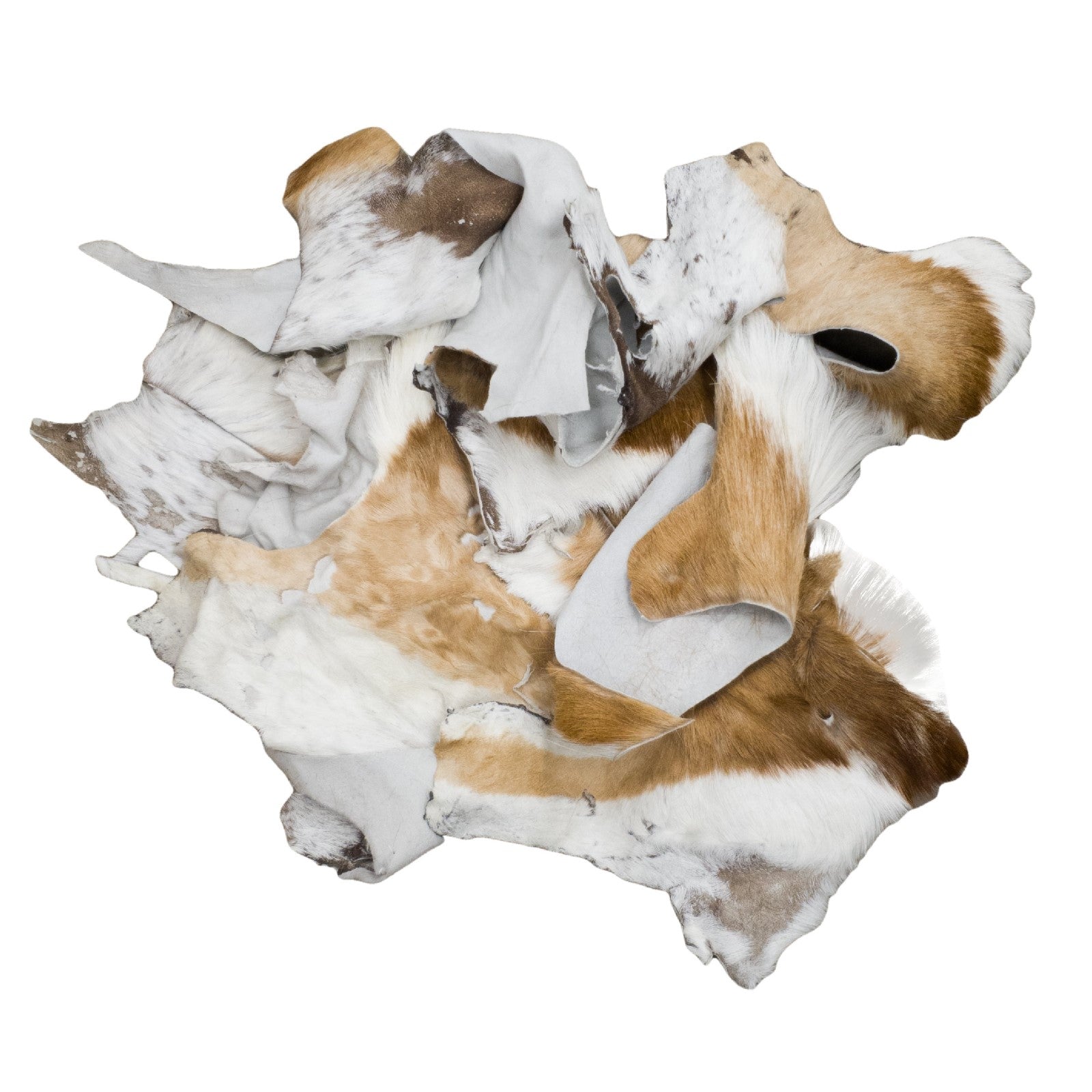 Genuine Hair on Springbok Leather, 2-3 oz, Chrome Tan Scrap, 1 pound B ...