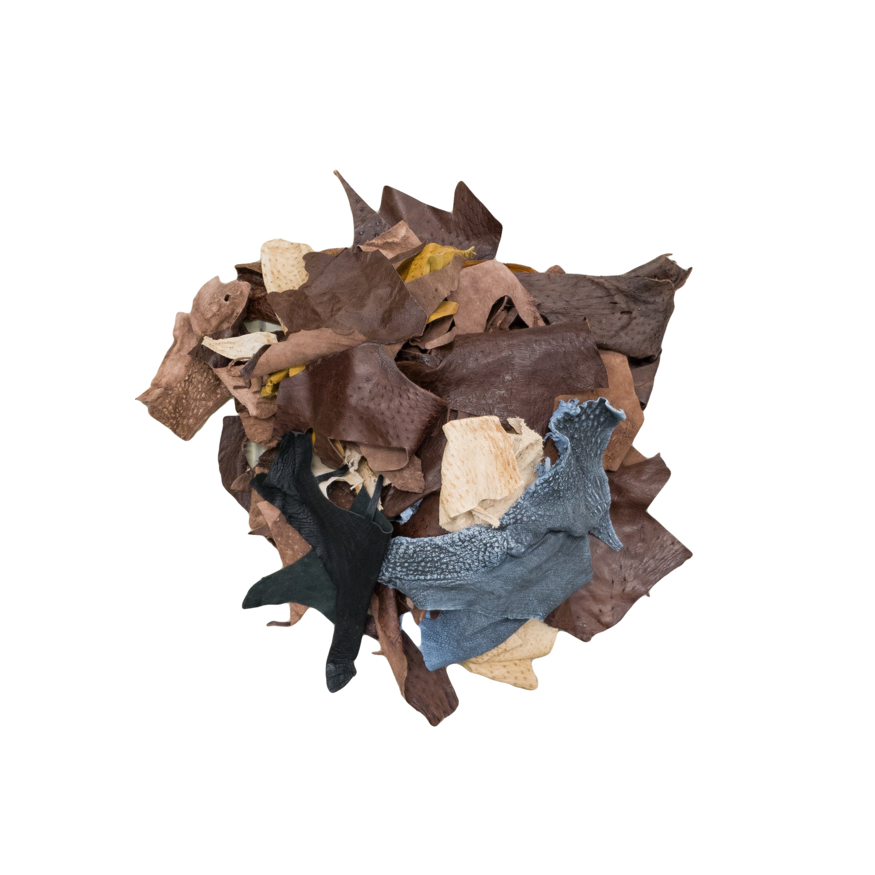 Genuine Ostrich Leather Scrap Remnant Bags- 1 - 3 oz Color Mix | The ...