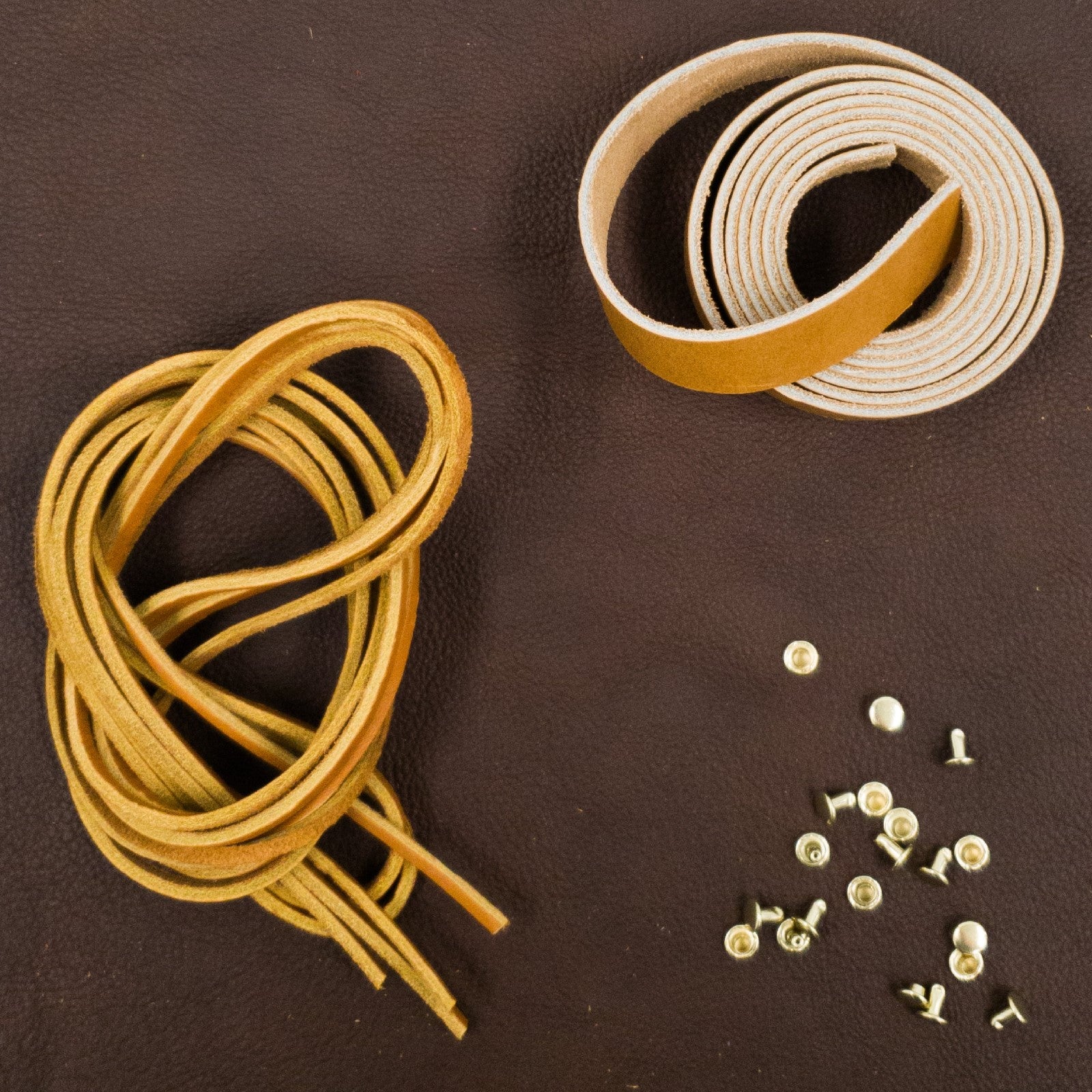 Leather Plant Hanger Kit | 2 Laces without Tools / Light Brown | The ...