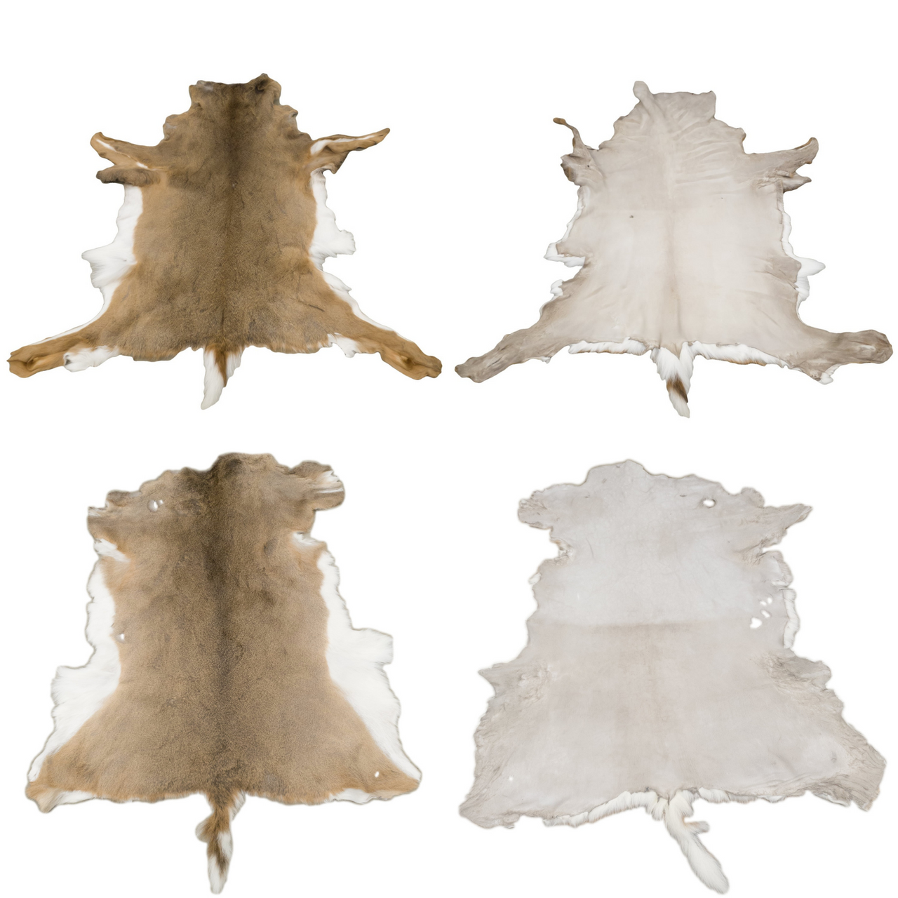 Hair on Deerskin Rugs, White-tail Premium/Economy/Craft | The Leather Guy
