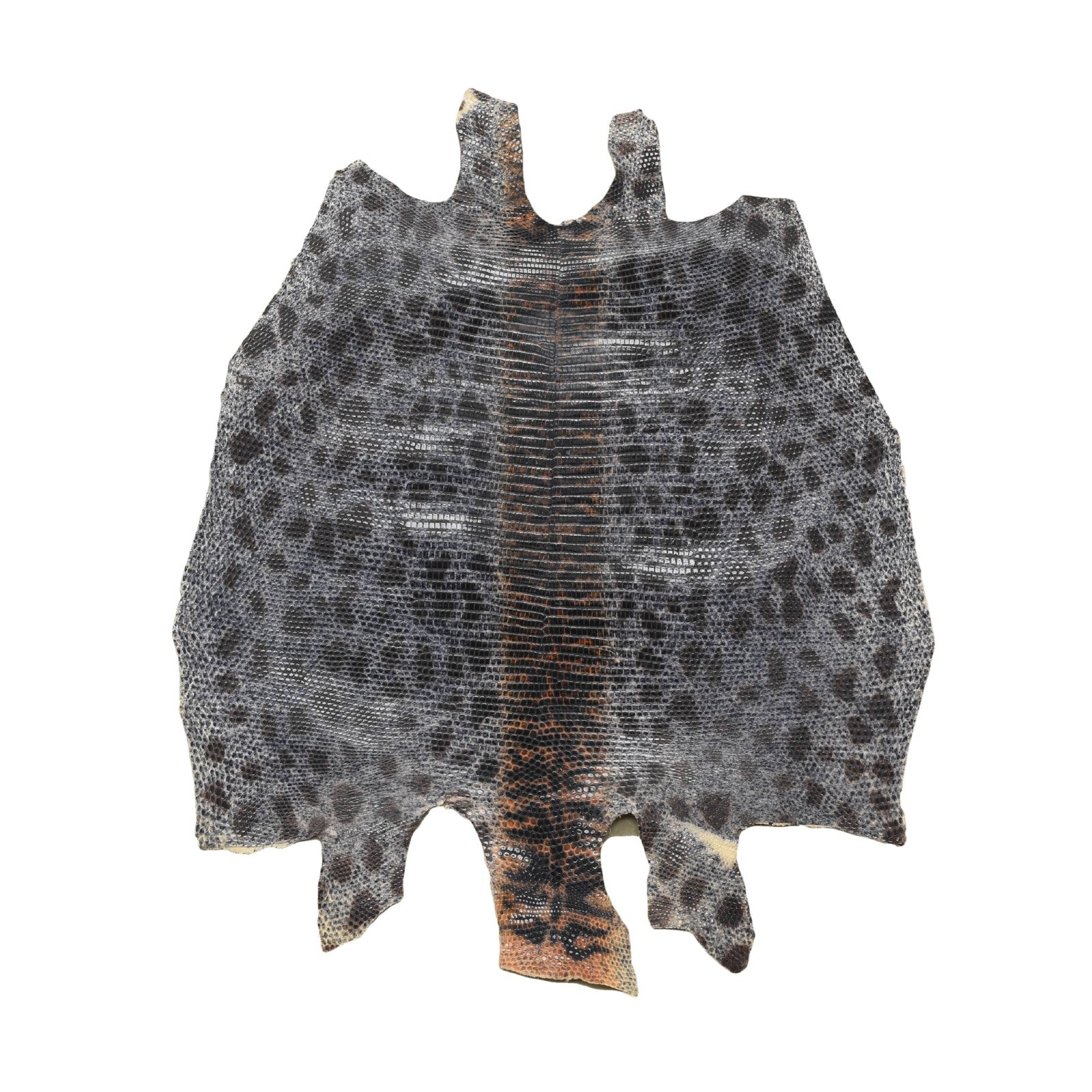 Exotic Prints, 9" x 9", 1-2 oz Lizard Skins | Cheetah Blue/Brown | The ...