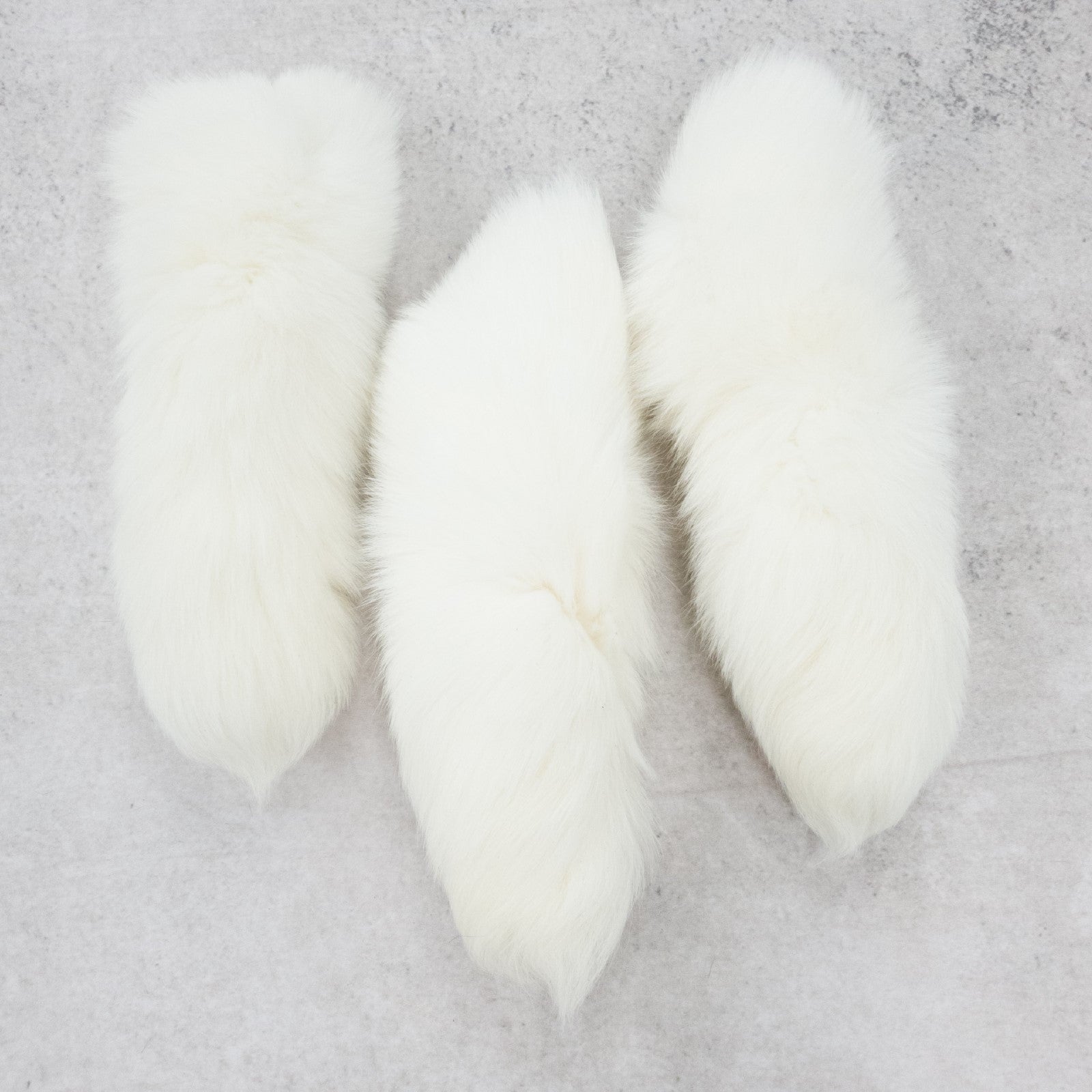 Genuine Fur Tails | Artic Fox / Without Pin | The Leather Guy