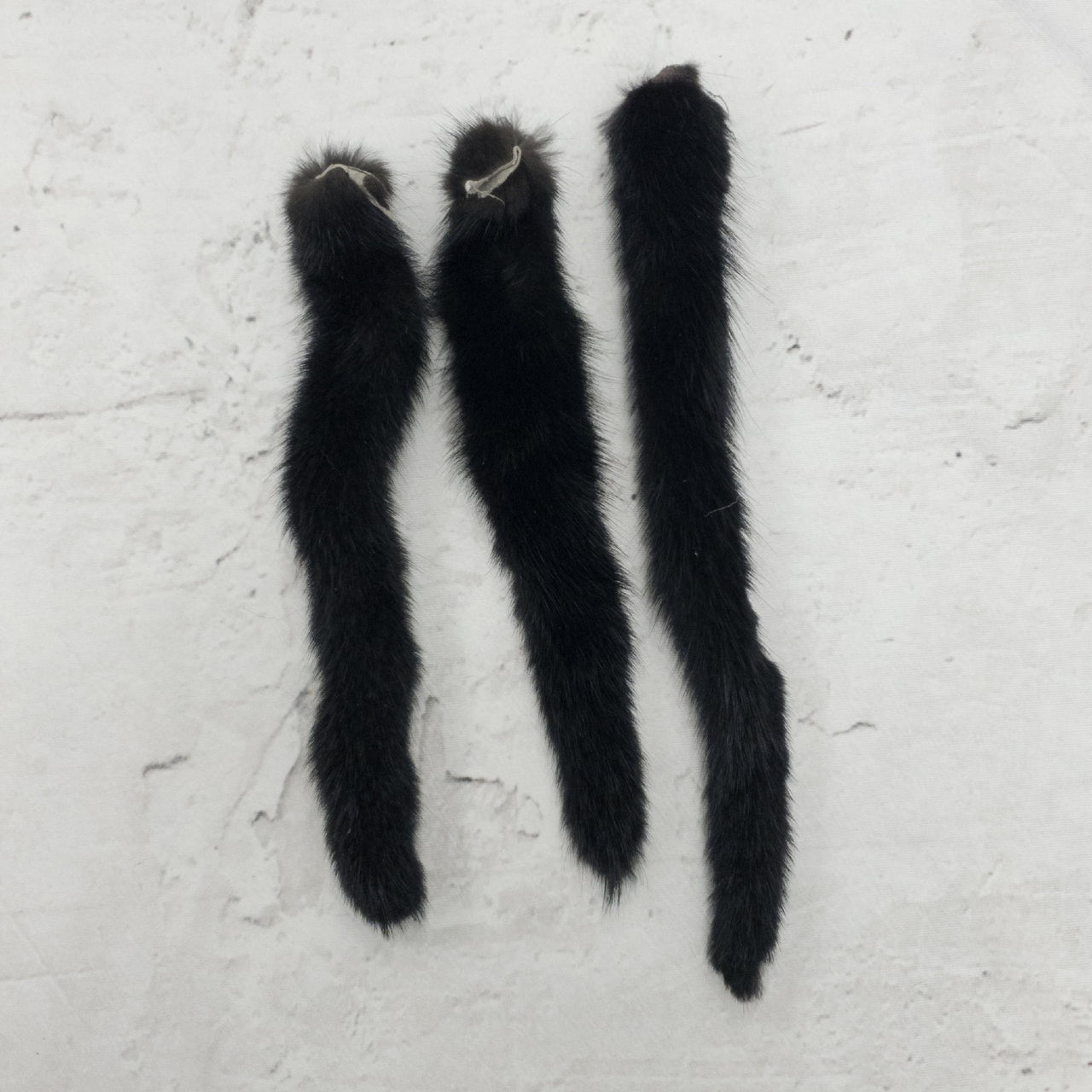 Genuine Small to Medium Animal Fur Tails | The Leather Guy