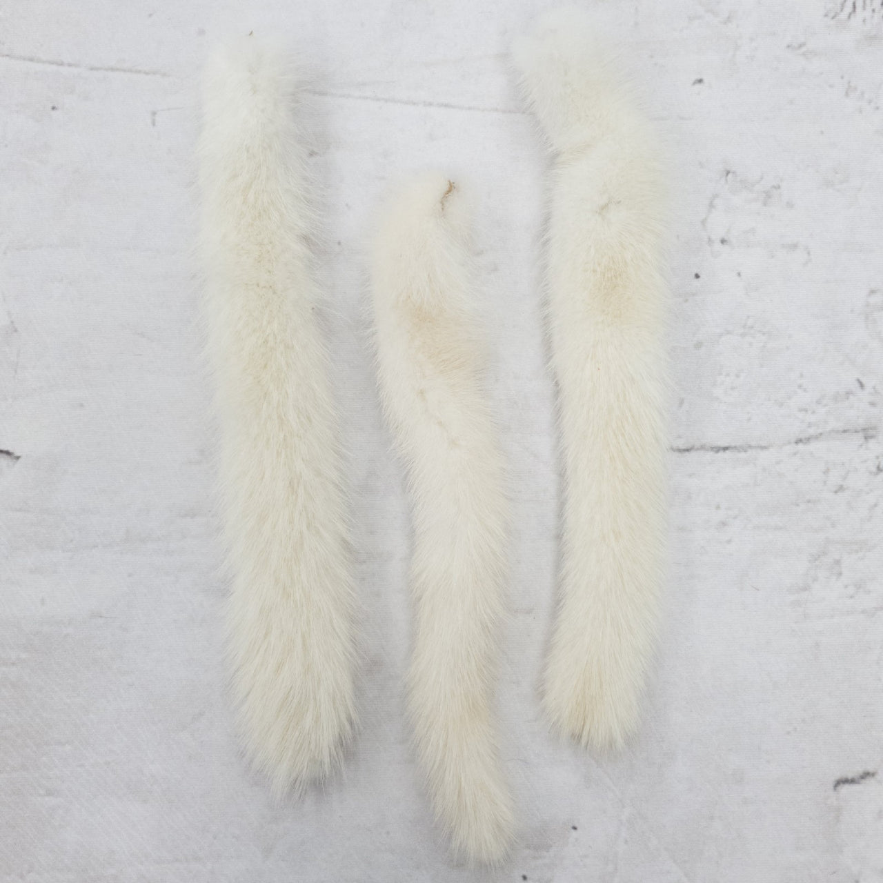 Genuine Fur Tails | The Leather Guy