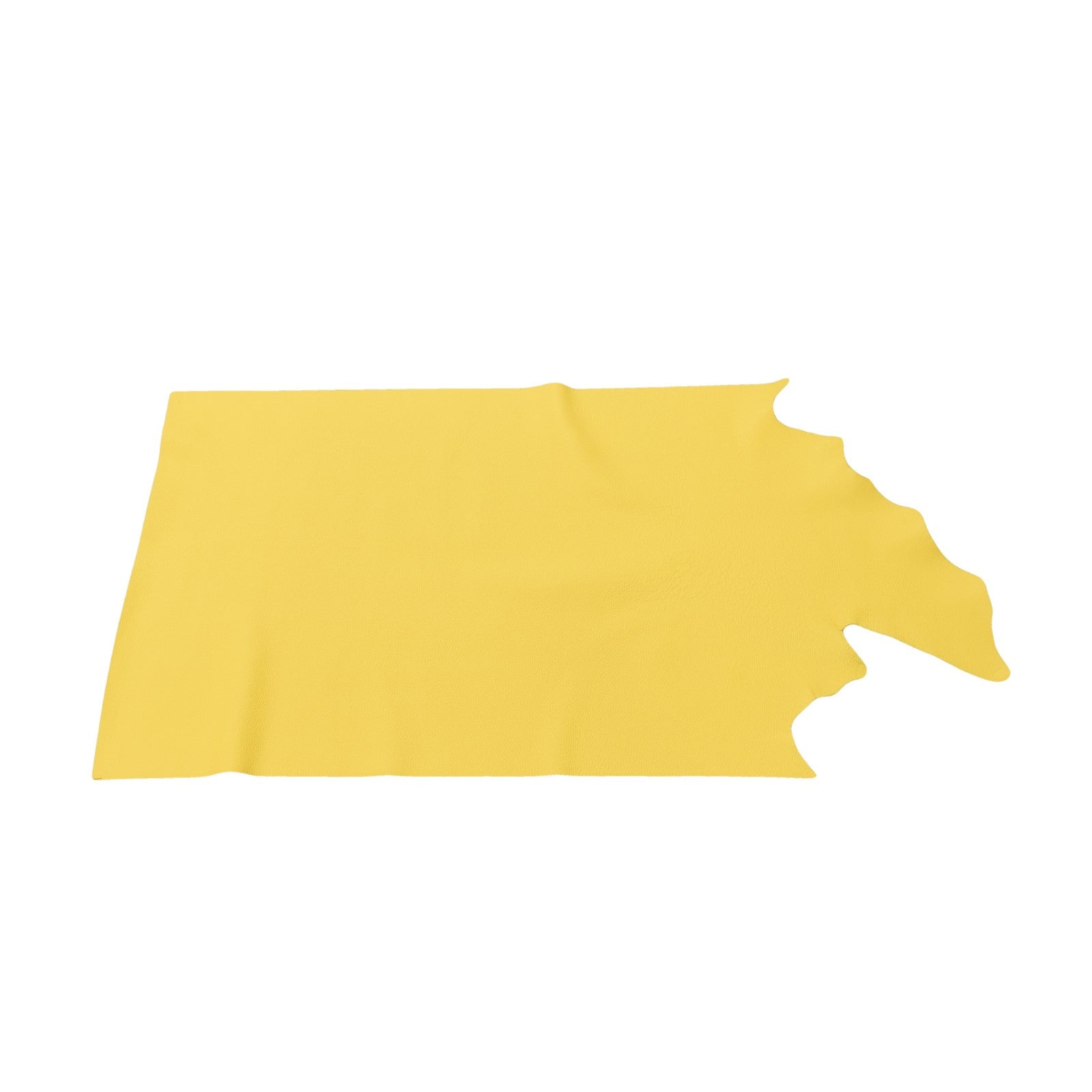 Hawkeye Yellow, 3-4 oz Cow Hides, Tried n True | The Leather Guy