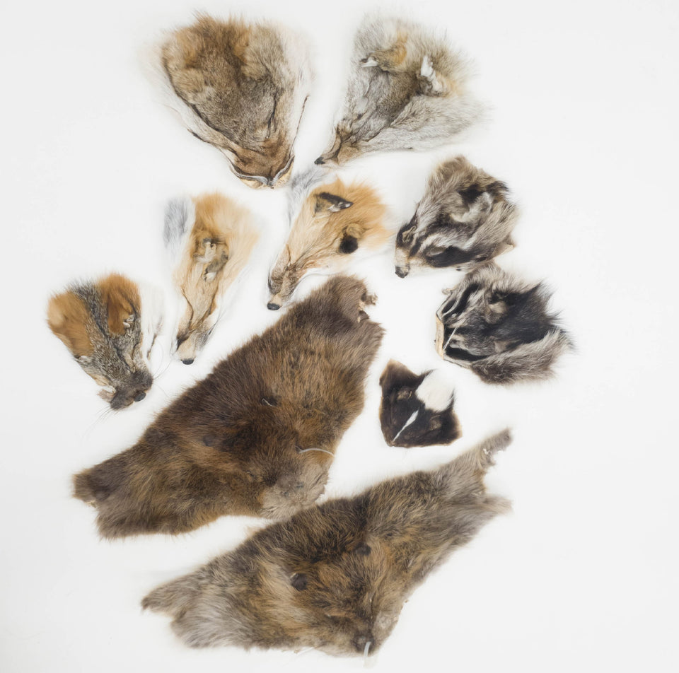 Craft Grade Fur Face Remnants | Genuine Fur Pieces | Indigo Fox | The ...