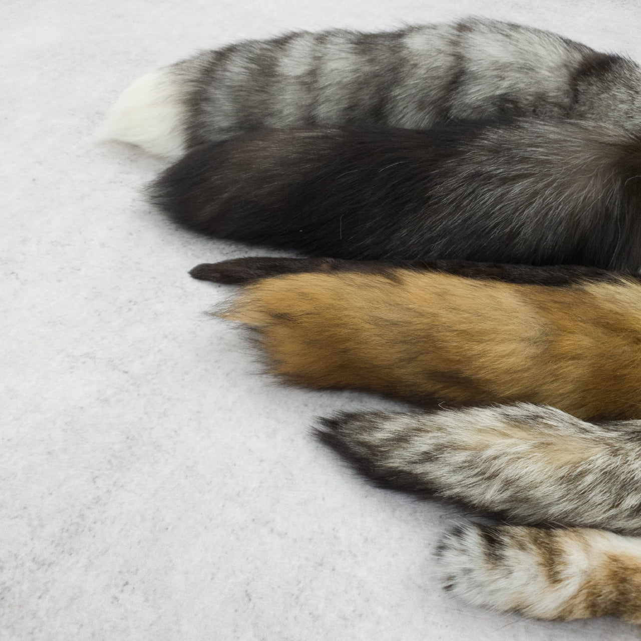 Genuine Small to Medium Animal Fur Tails | The Leather Guy