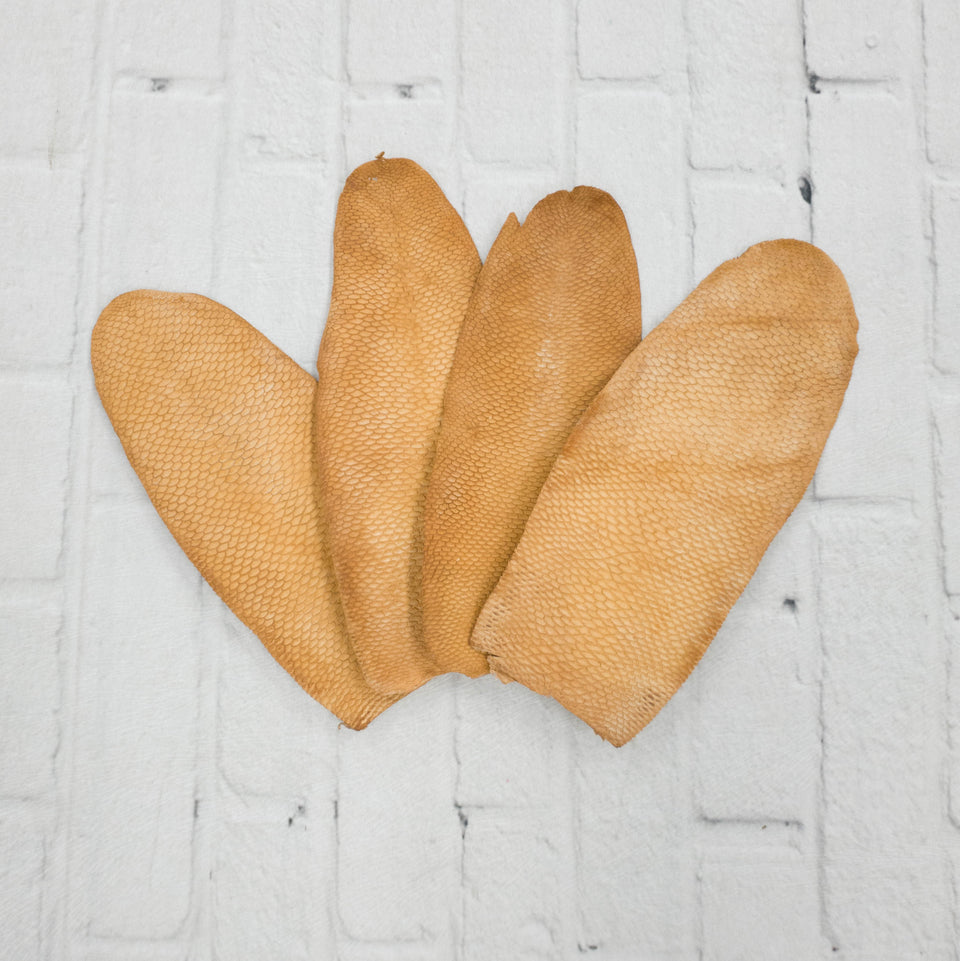 Veg Tan Beaver Tail Leather | The Leather Guy